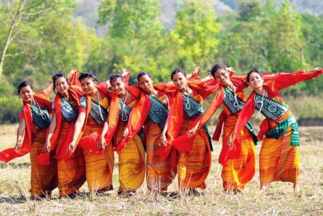 APTDCL | Assam Plains Tribal Development Corporation Limited